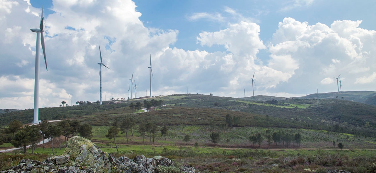 Long-term investors key to global energy transition success